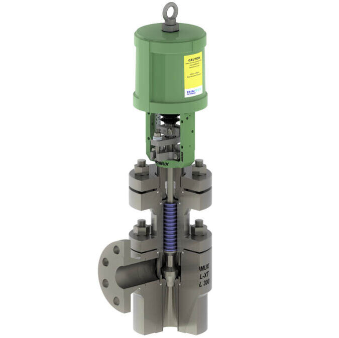 How to reduce fugitive emissions in your control valves